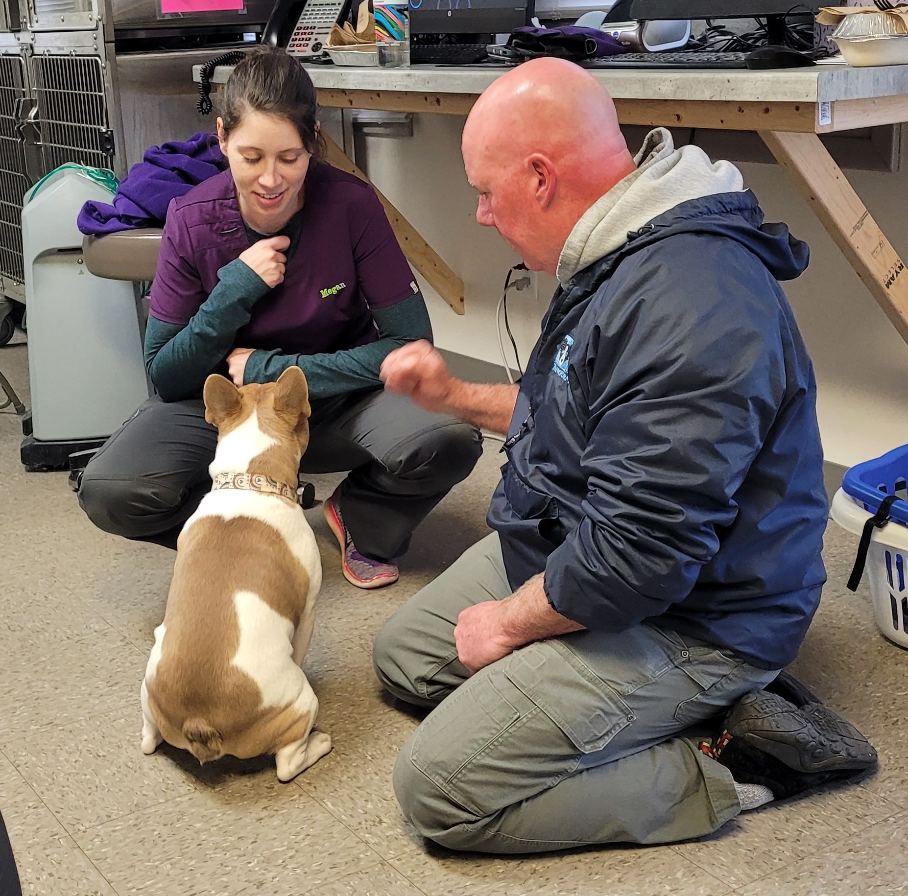 SmartVet Dog Training Resources