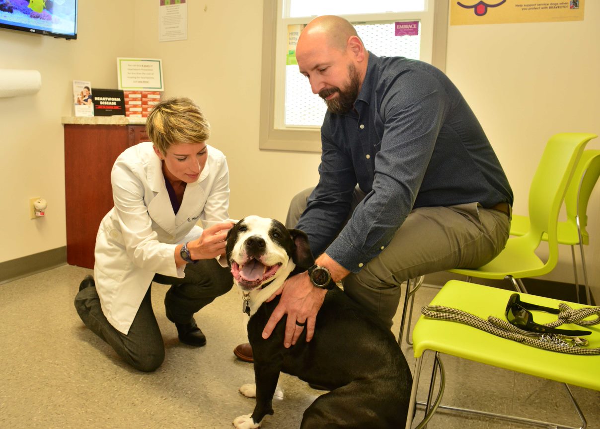 Normal, IL 61761 Veterinary Services | SmartVet