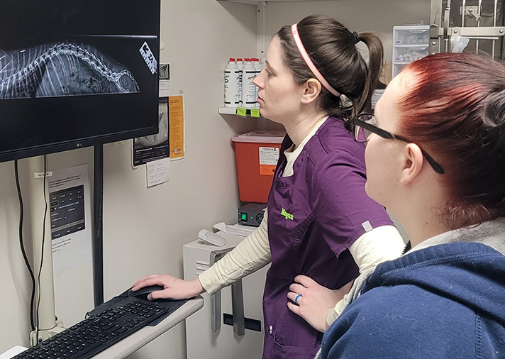 Pet Digital X-Rays In Normal, IL 61761 | SmartVet