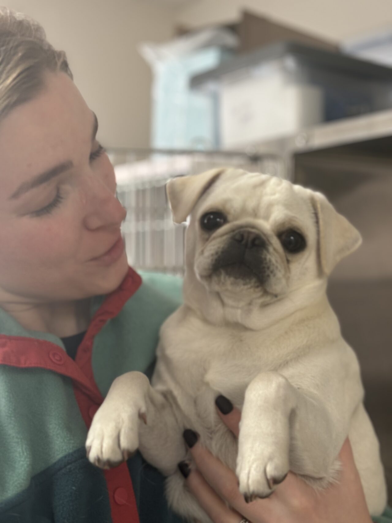 Canine Wellness Care In Normal, IL 61761 | SmartVet